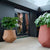 Bhaca Planter
