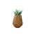 Bhaca Planter