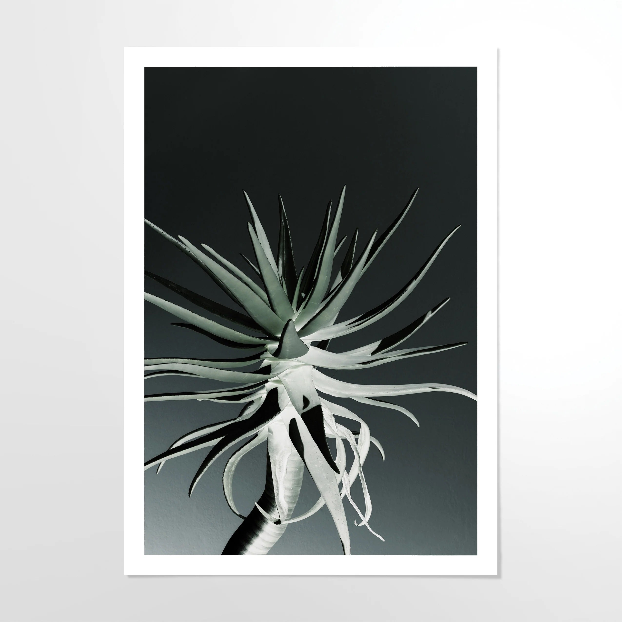 Quiver_c626b14d-b654-48e8-87af-51f9f6e08c0d.jpg?v=1711614818