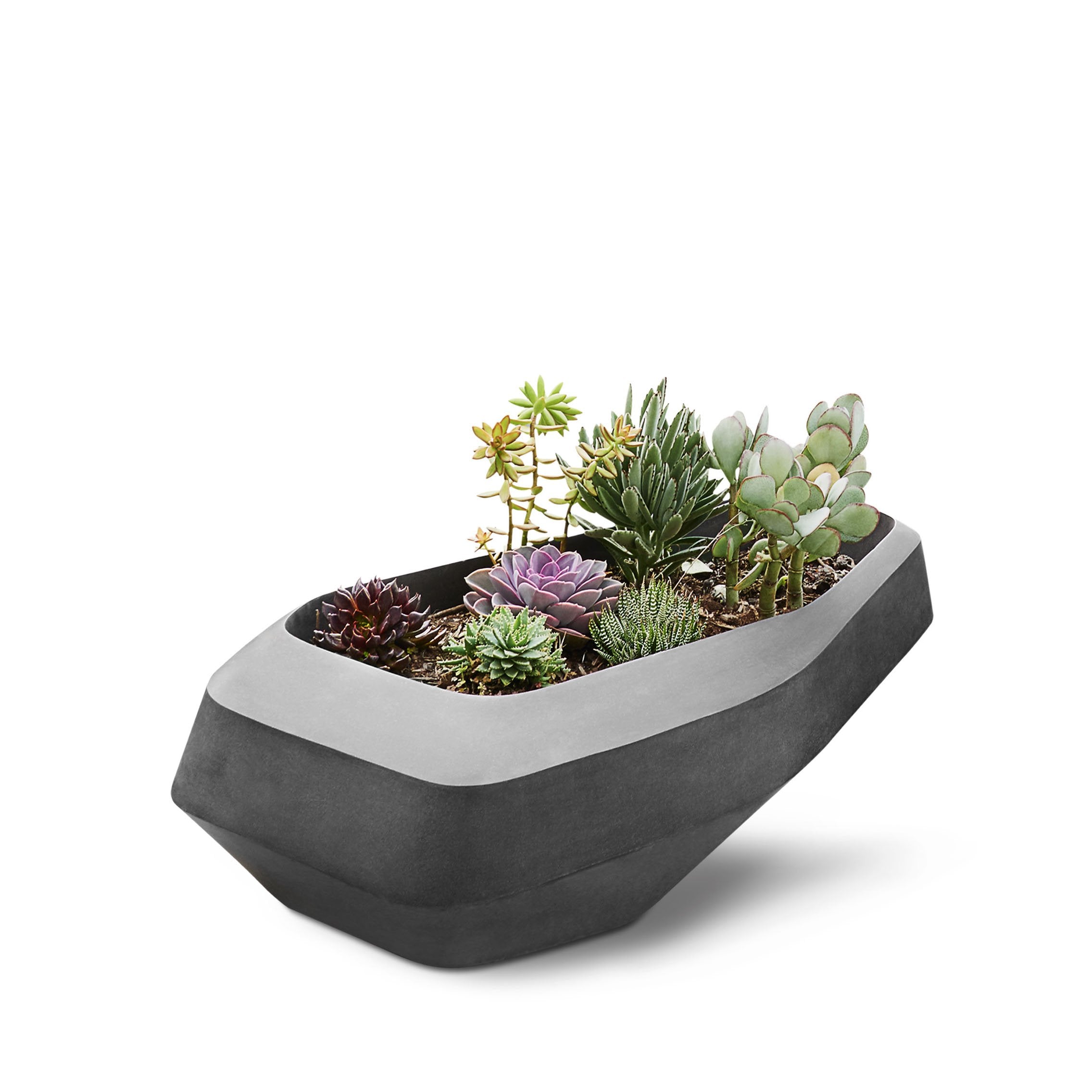 can be used as a spacer link to your collections sales and even ...