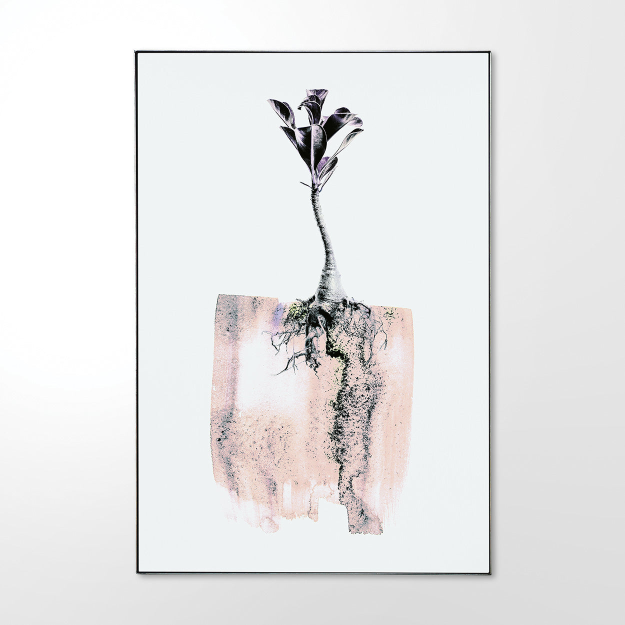 ABYSS_light_94794a57-2607-47b4-ac97-9fc332a69641.jpg?v=1709719216